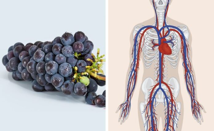 10 Alkaline Foods That’ll Help You Shed Excessive Fat