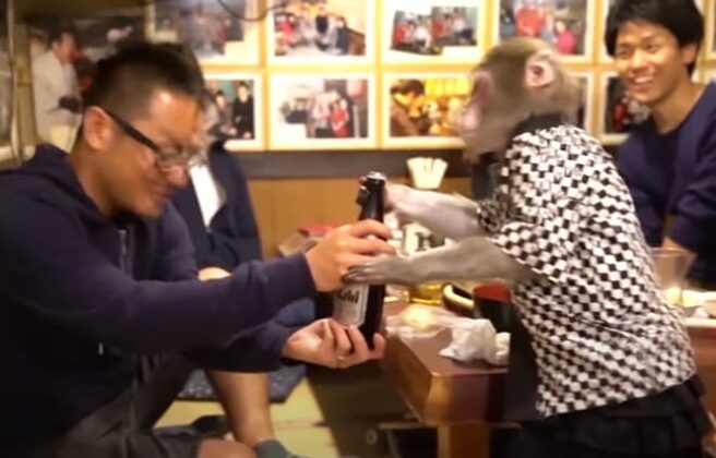 Watch: This Restaurant In Japan Hired Monkeys To Serve Food & Drinks ...