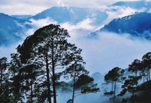 Lambasingi – The Kashmir Of Andhra Pradesh Where It Snows In South India