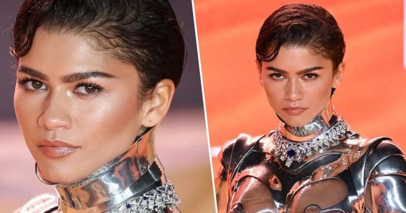 Zendaya’s See-Through Outfit on the Dune’s Premiere Left Fans Literally ...
