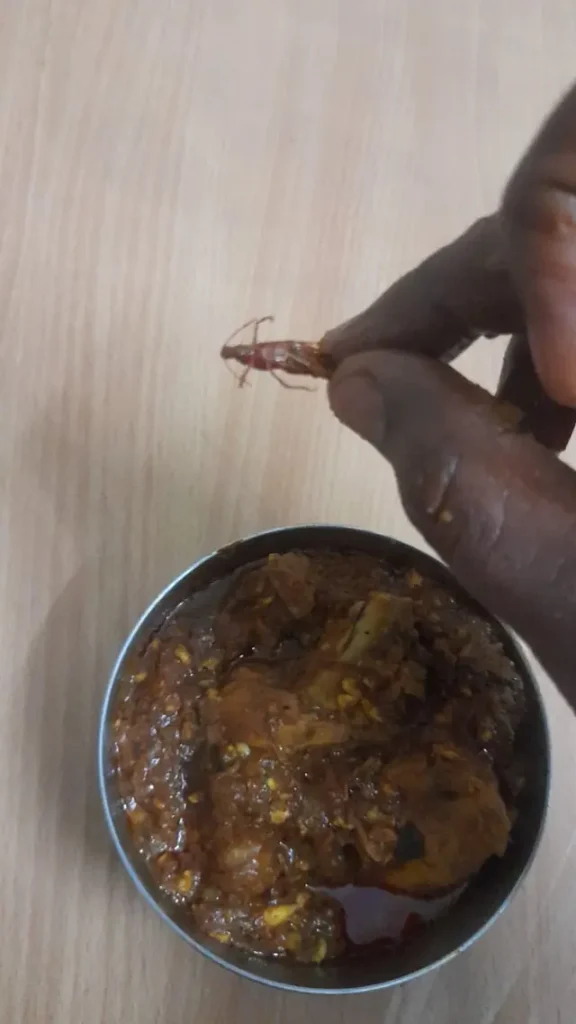 Zomato Faces Backlash After Customer Finds Insect in Butter Chicken ...