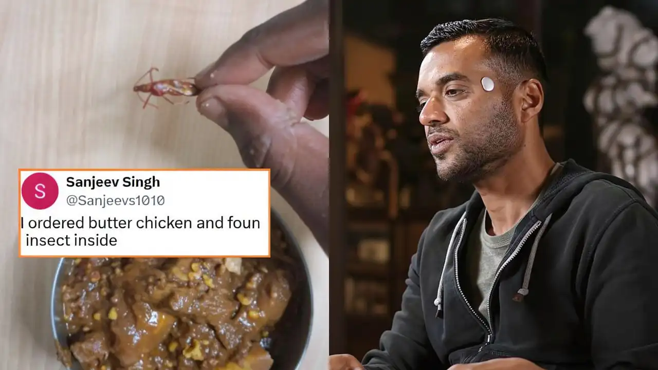 Zomato Faces Backlash After Customer Finds Insect in Butter Chicken ...